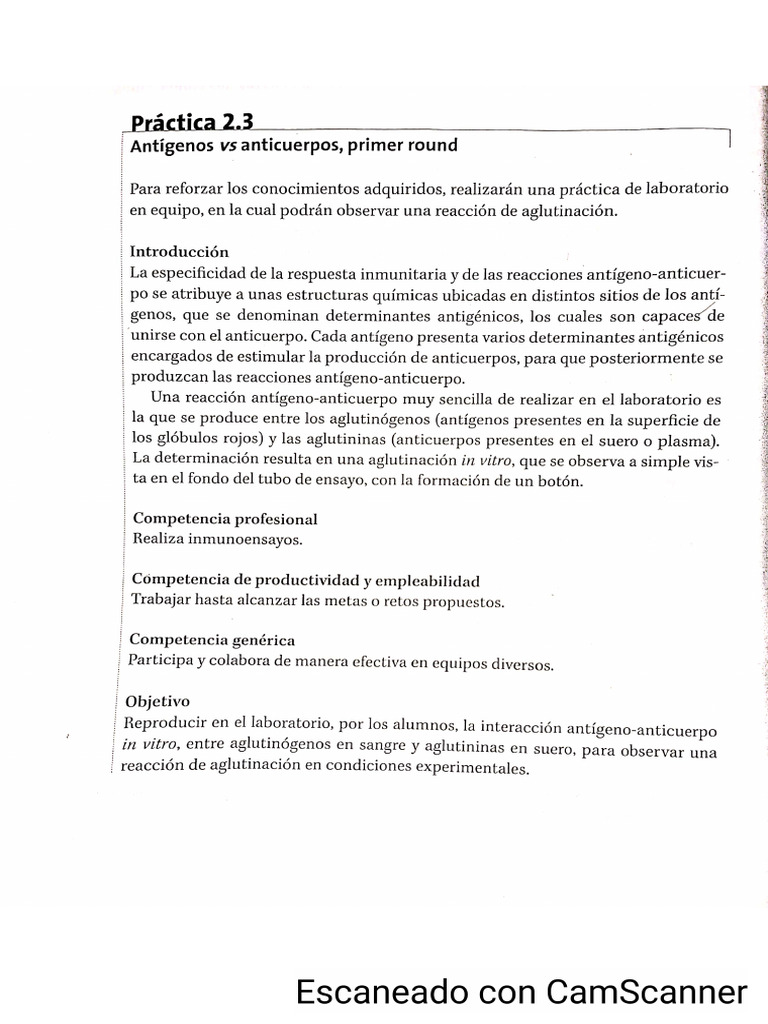 práctica 1. 2 unidad | PDF