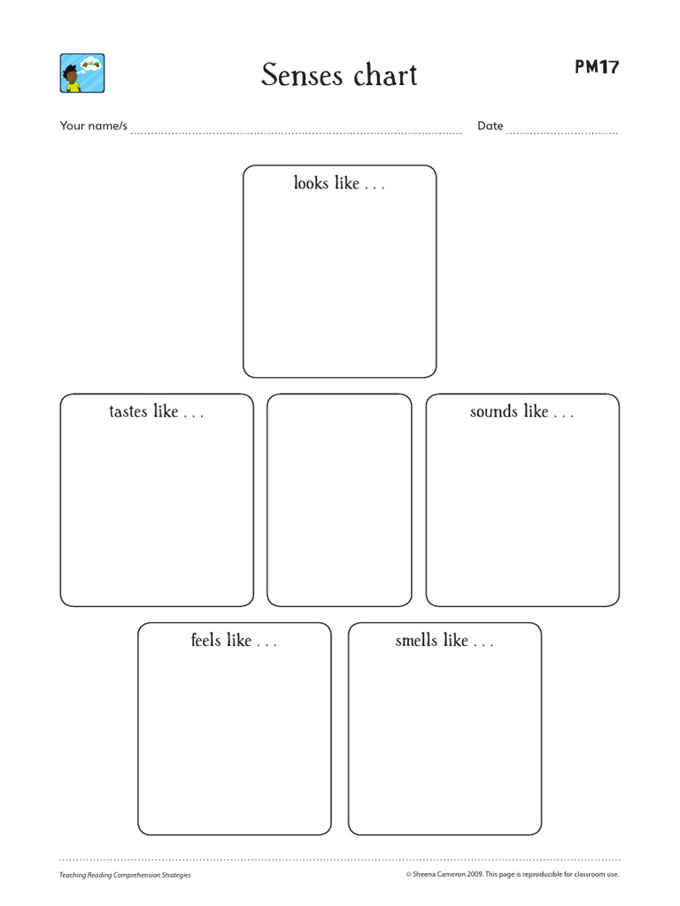 PM17 Senses chart | PDF
