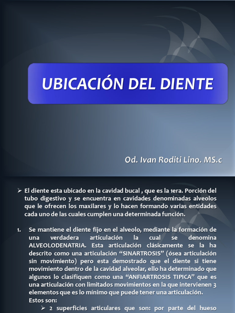 Ubicacion Del Diente | PDF | Articulación | Diente