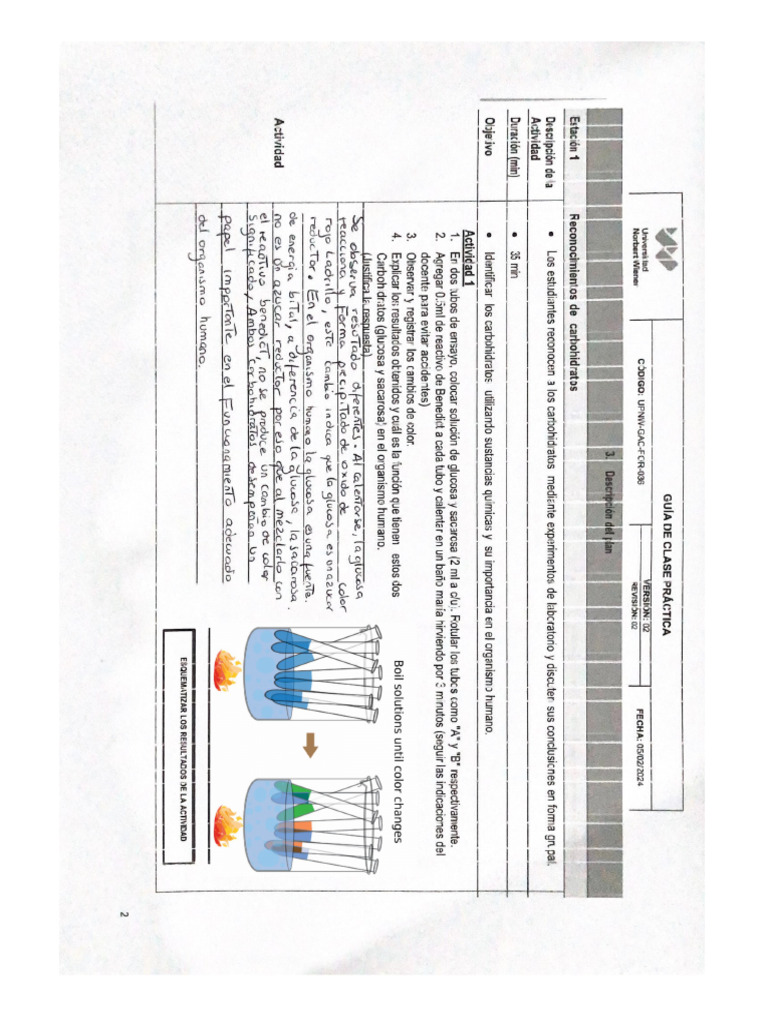 BENEDIT | PDF