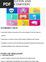 S.3 Bio Notes Locomotion | PDF | Vertebra | Vertebral Column