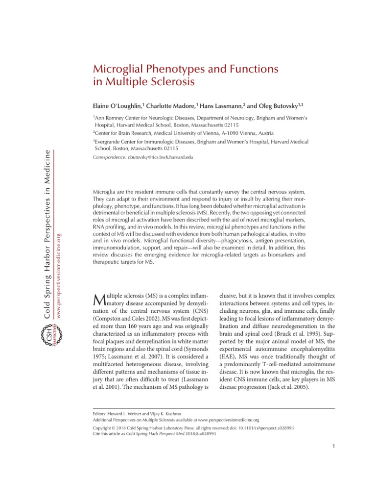 Microglial Phenotypes | PDF | Microglia | Multiple Sclerosis
