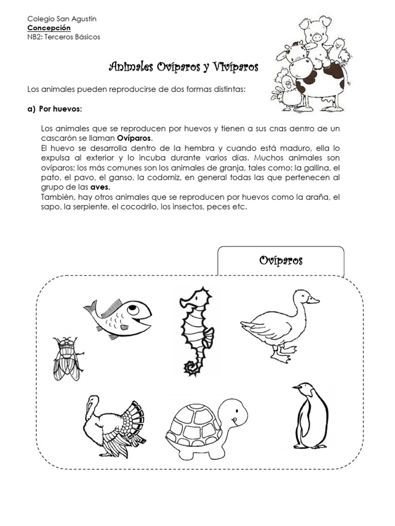 Animales Ovíparos y Vivíparos | PDF