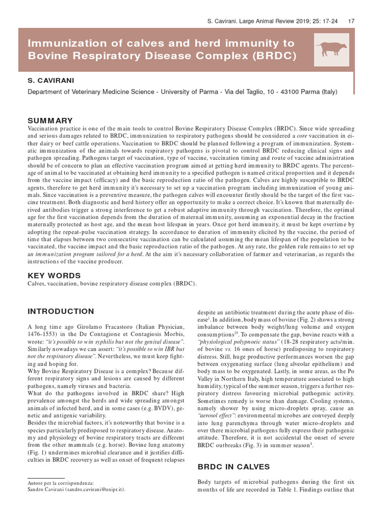 Vaccination Strategies for BRDC in Calves | PDF | Vaccines | Infection