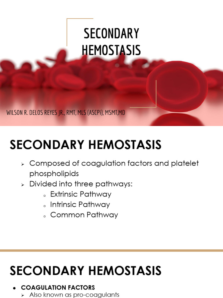 Secondary Hemostasis | PDF | Coagulation | Molecular Biology