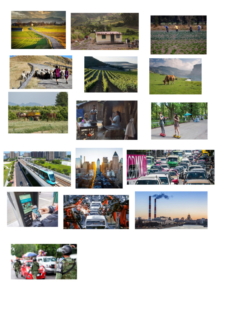 Collage Ciencias | PDF