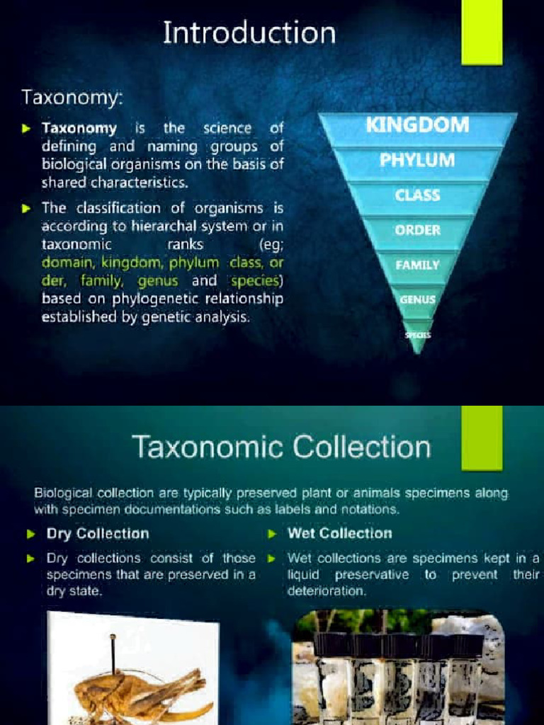 Taxonomy | PDF