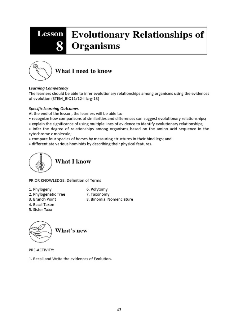 Inferring Evolutionary Relationships | PDF | Phylogenetic Tree ...