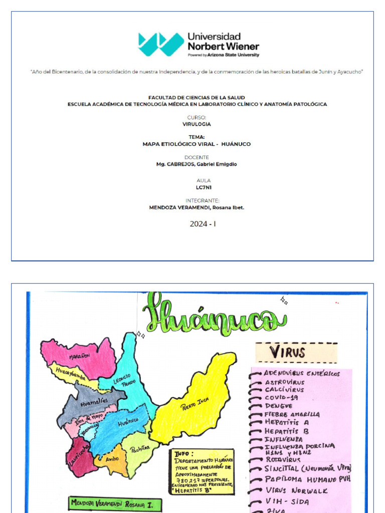 Tarea 1 Mapa Dib | PDF