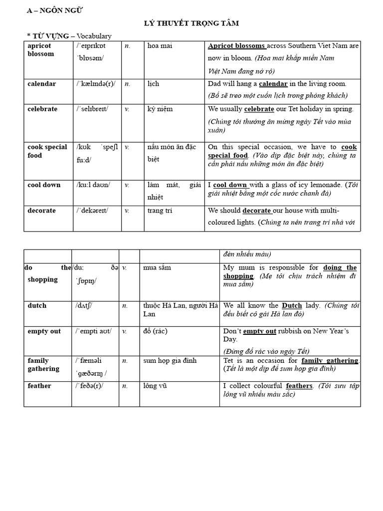Unit 6 - Our Tet Holiday | PDF