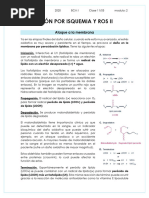 Peroxidación Lipídica y Radicales Libres | PDF | Peroxidación lipídica ...