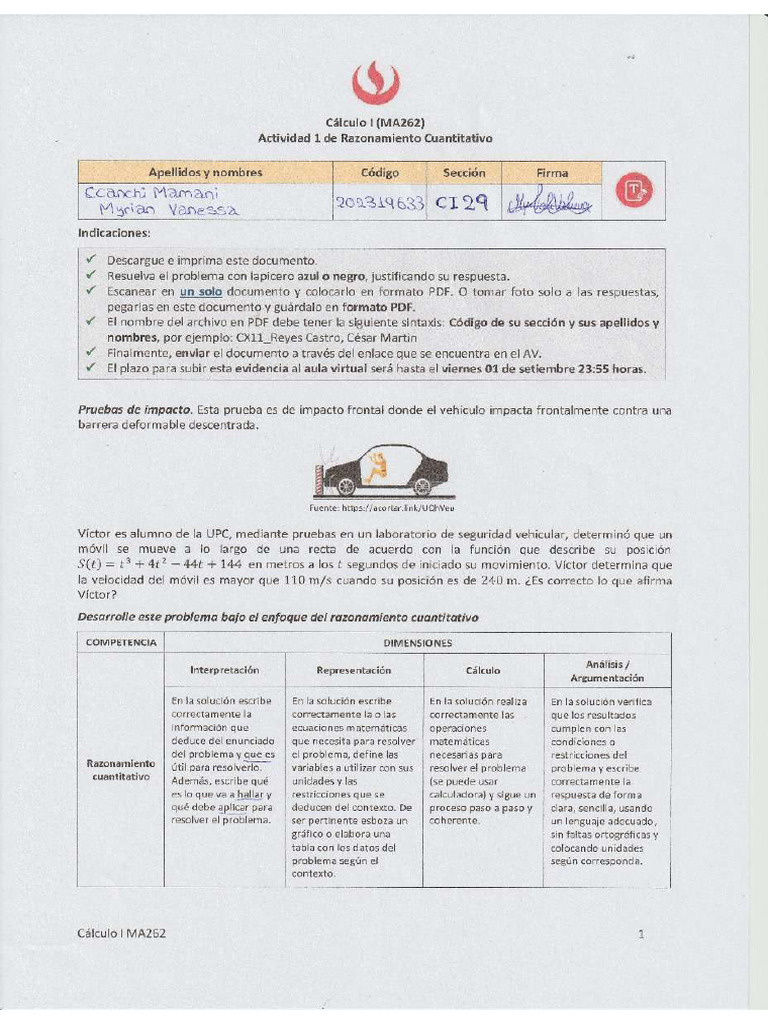 CI29 - Ccanchi Mamani, Myrian Vanessa | PDF