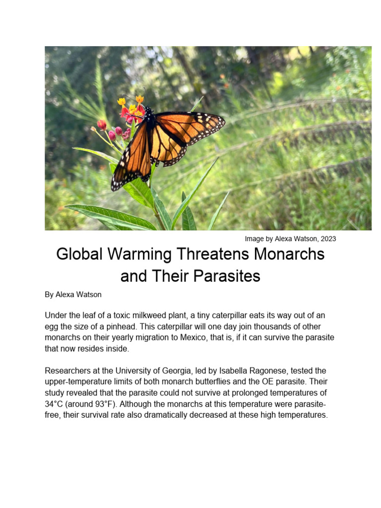 Watson Monarchs Oe and Climate Changefinal | PDF | Butterfly | Parasitism