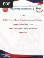 Areas de CEYE | PDF