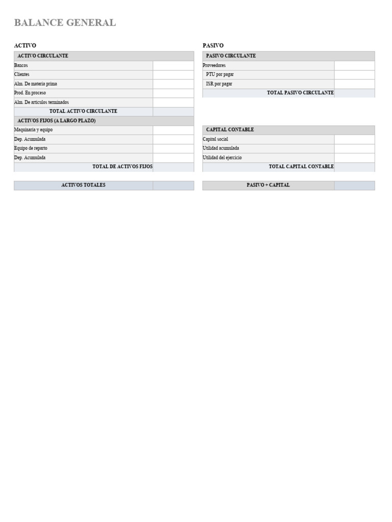 Balance General: Activos y Pasivos | PDF