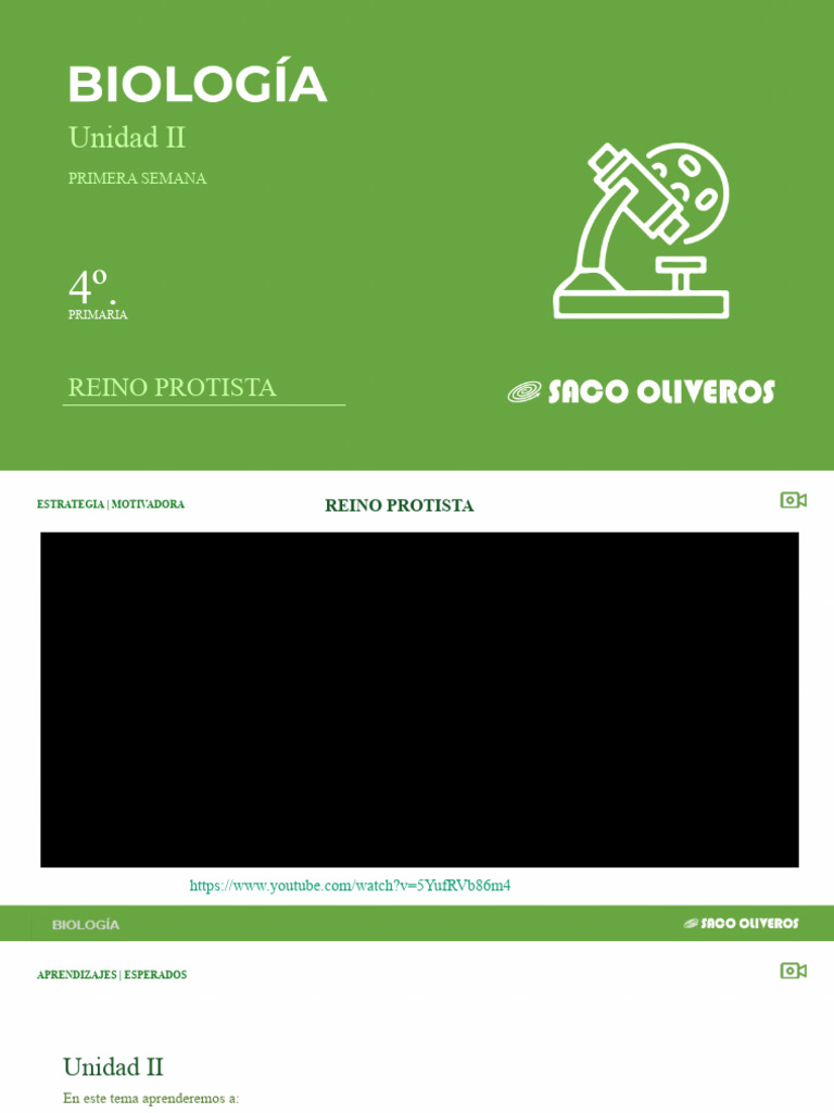 B4 - U2 - S1 - Reino Protista 2024 | PDF | Protozoos | Biología