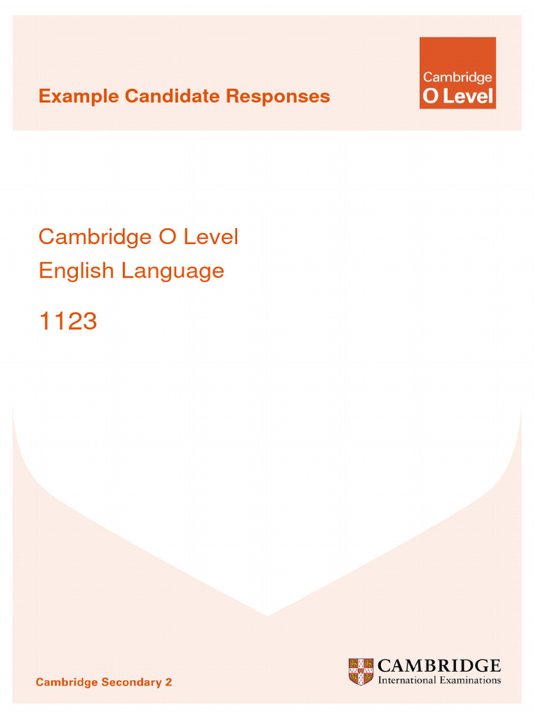 ECR Composition | PDF | English Language | Essays
