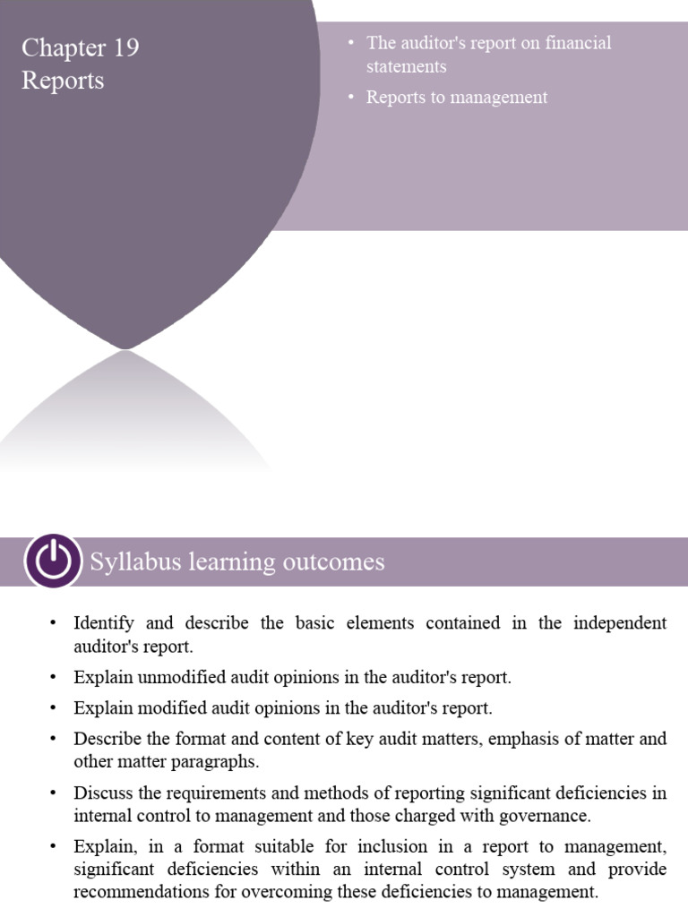 Audit Report | PDF | Auditor's Report | Audit