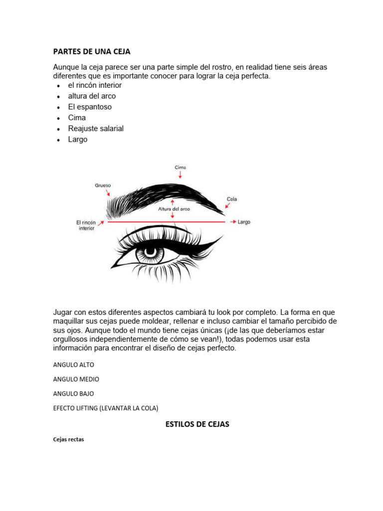 CEJAS | PDF | Ceja
