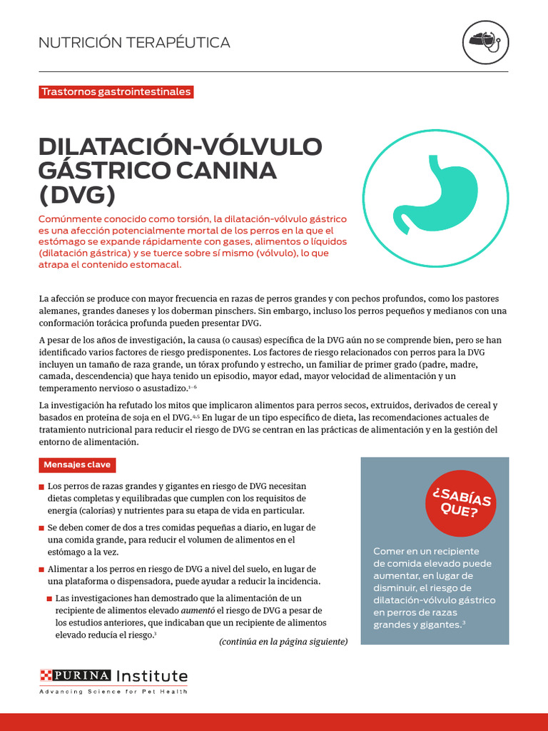 Prevención del DVG en perros grandes | PDF | Dieta | Nutrición