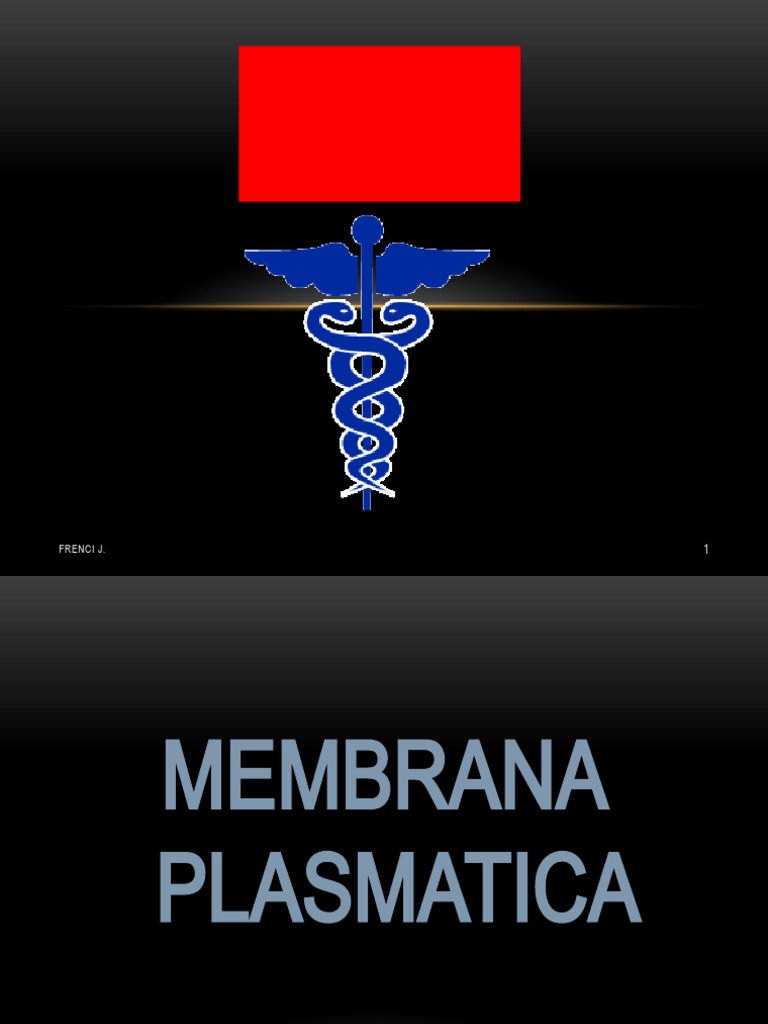 Estructura y Funciones de la Membrana Plasmática | PDF | Membrana ...
