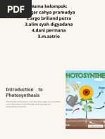 BioMan Biology | PDF | Photosynthesis | Biotechnology
