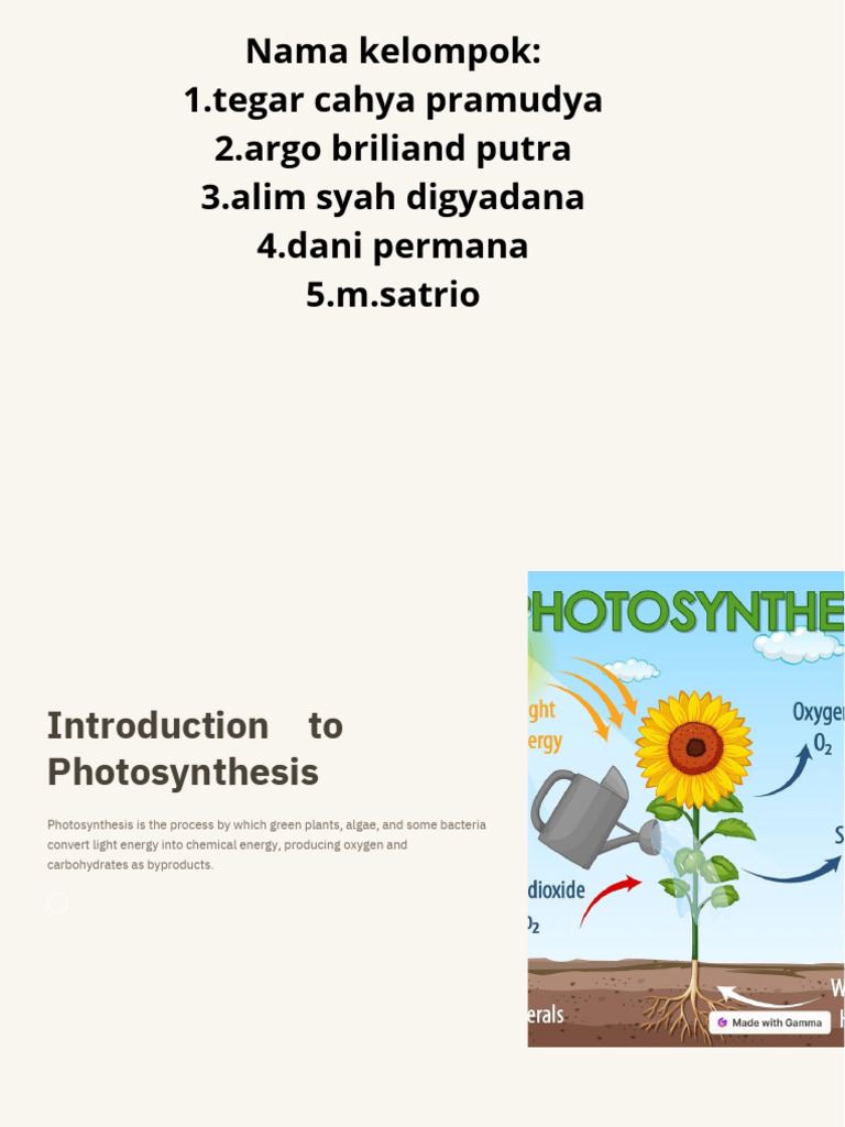 Introduction-To-Photosynthesis.pdf 20240318 013116 0000 | PDF ...