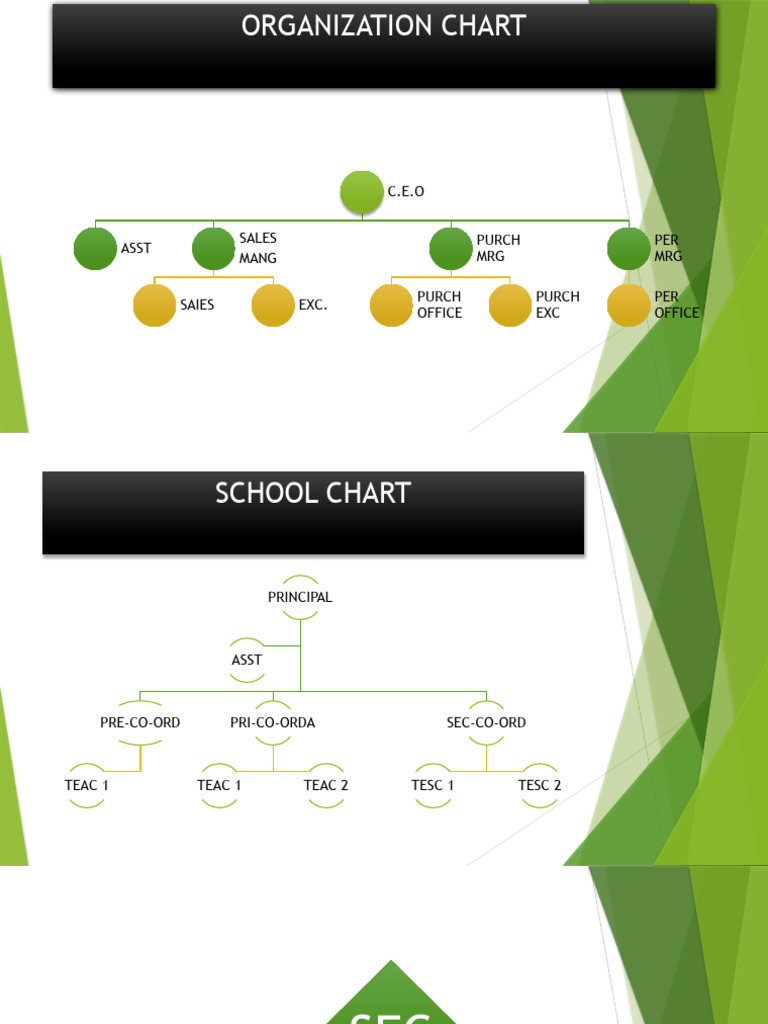 Organization Chart | PDF