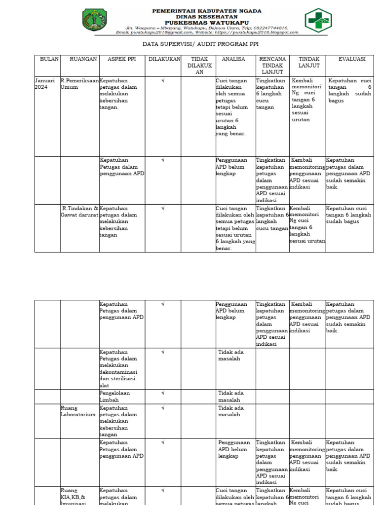 Audit Ppi Januari 2024 | PDF