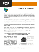 V4 Trees Issue 2 Operatives Handout | PDF | Trees | Root