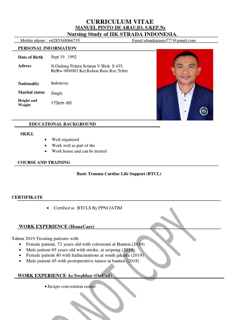 CV MANUEL DE ARAUJO | PDF