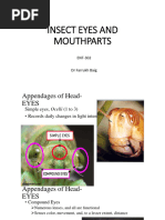 Insect Mouthparts and Their Functions | PDF | Insects | Arthropodology