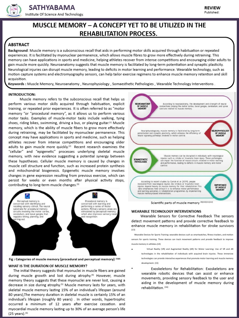 Presentation 2 | Download Free PDF | Memory | Skeletal Muscle