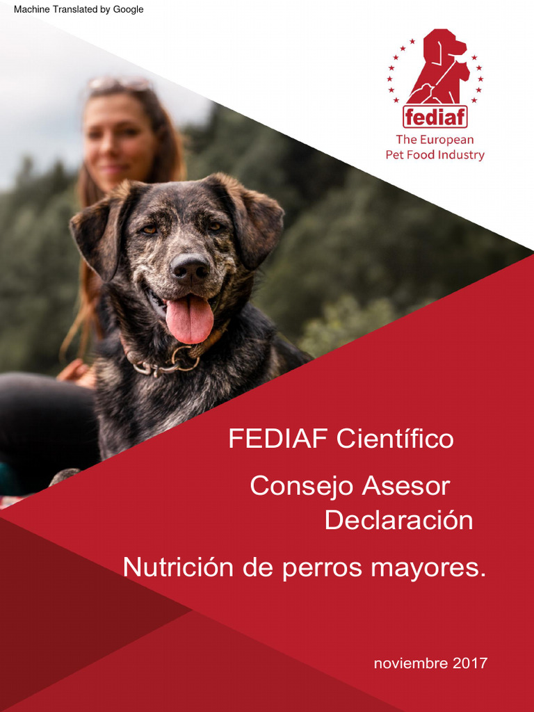 FEDIAF - SAB - Statement - Nutrition - of - Senior - Dogs - Fin 2 | PDF ...