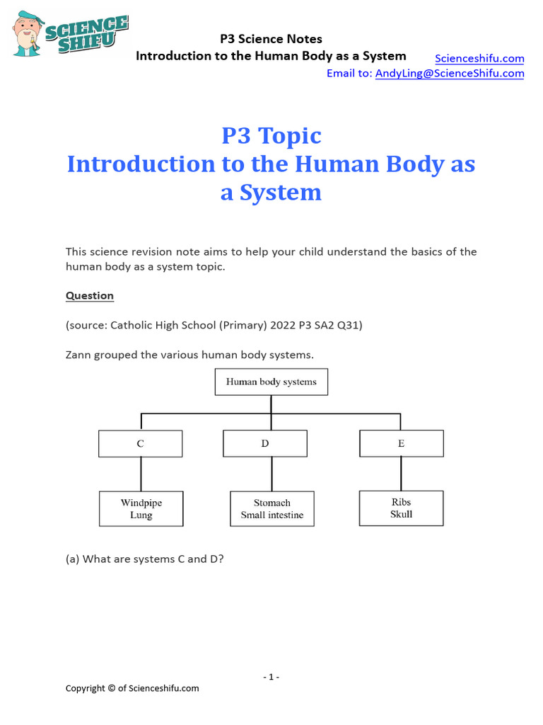 P3 Science - The Human Body As A System Topic | PDF | Teachers ...