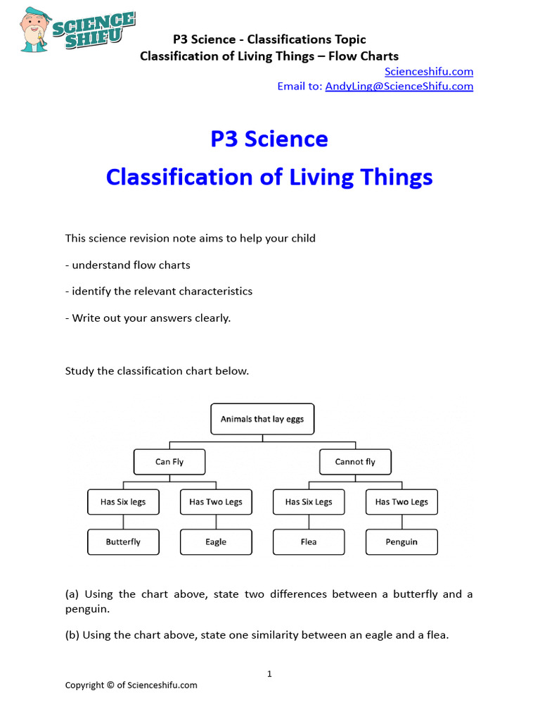 P3 Science Revision Notes -P3 Classification Topic - Identify the ...