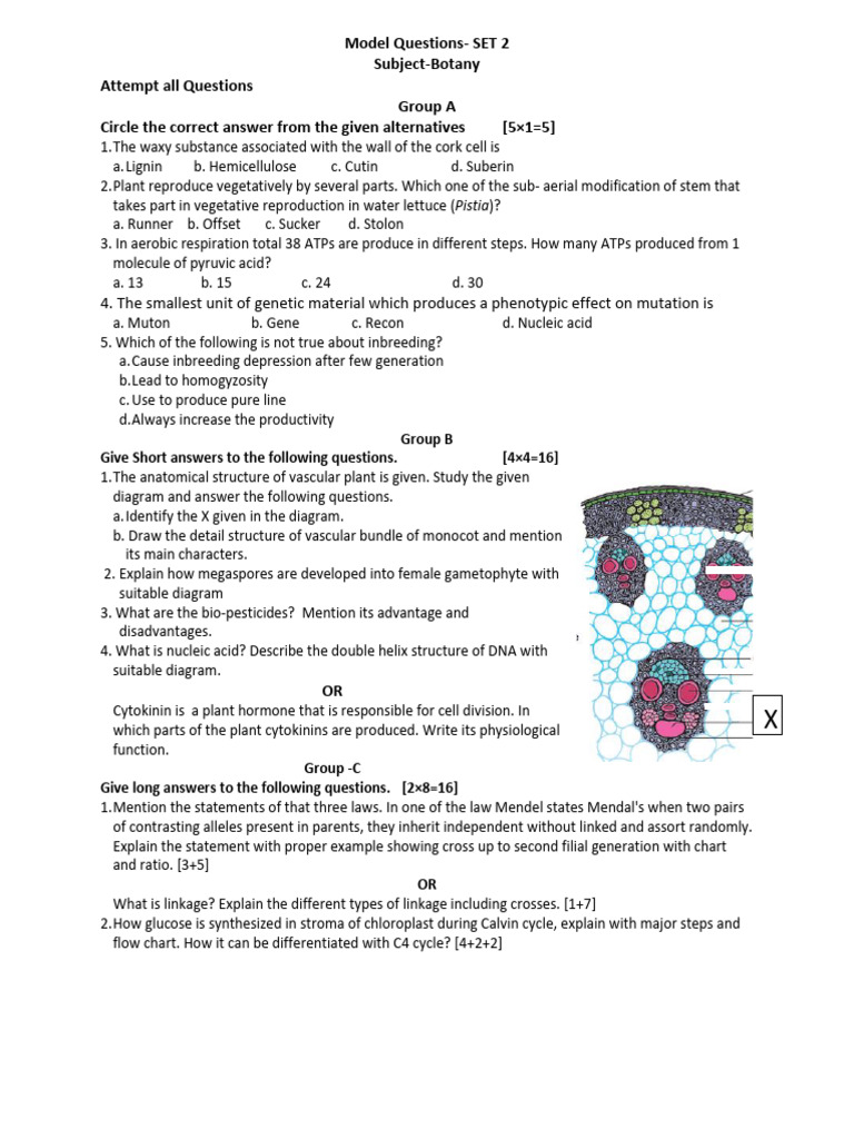 Biology Model Question Grade 12 Set 2 | Download Free PDF | Plants ...