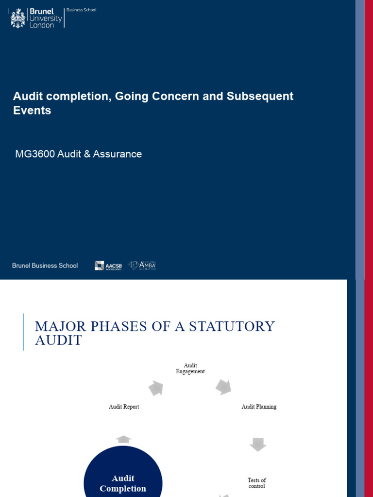 MG3600 Audit Completion | PDF | Audit | Going Concern