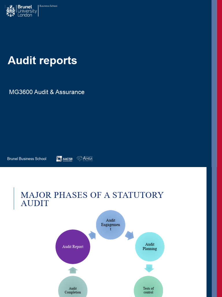 Statutory Audit Report Guidelines | PDF | Auditor's Report | Audit