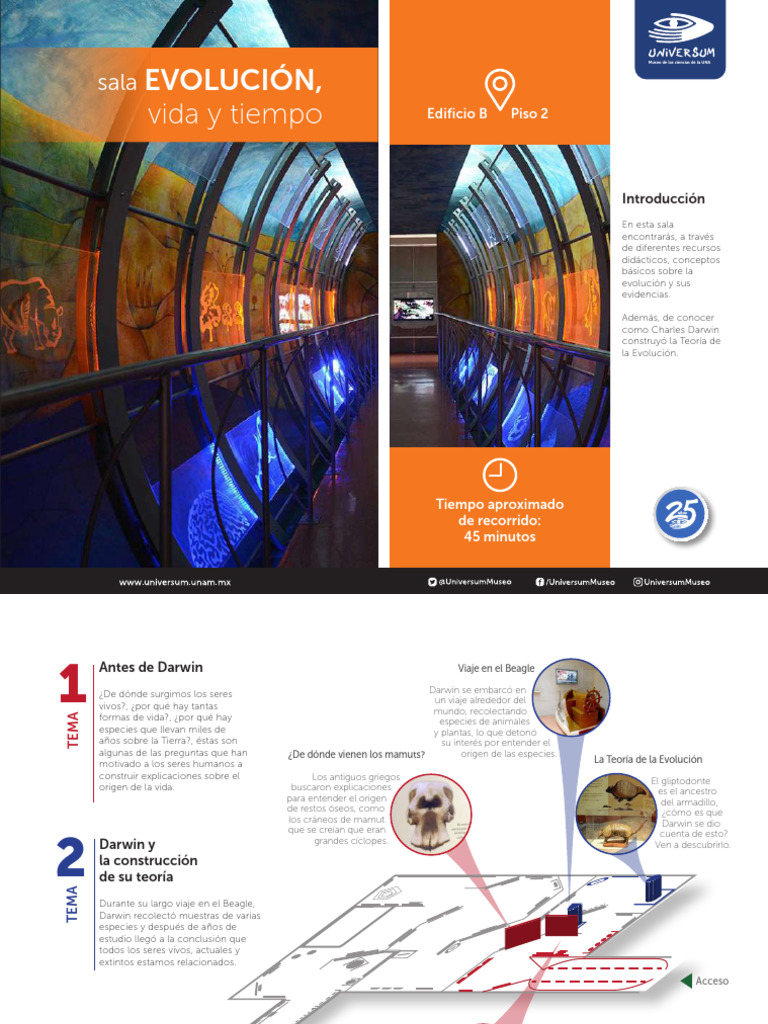 Guia Evolucion | Descargar gratis PDF | Evolución | Charles Darwin