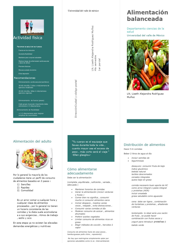 Triptico Correcta Alimentaciòn en Adulto Mayor | PDF | Alimentos | Vegetales