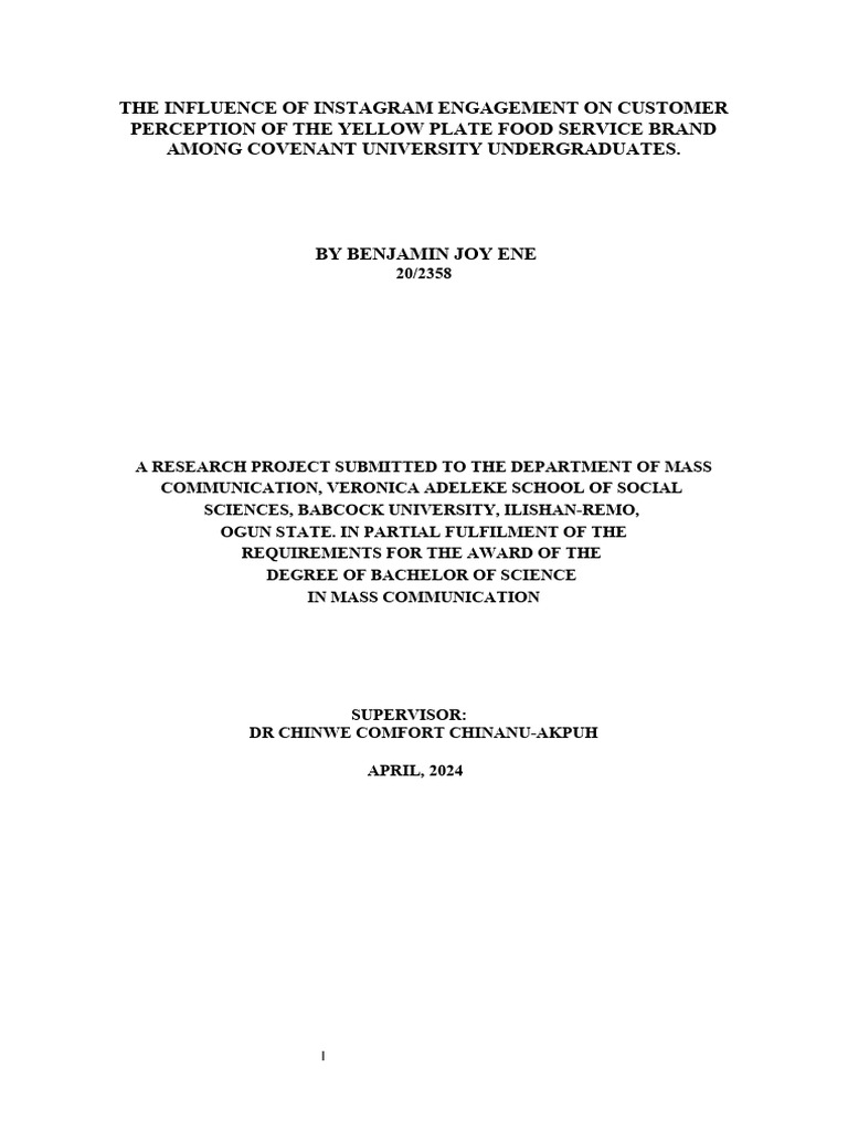 Main Project Work | PDF | Brand | Social Media Marketing