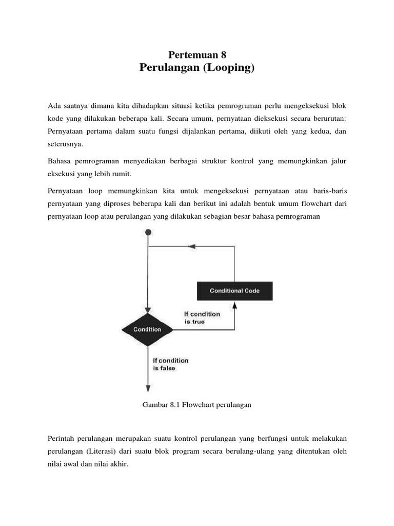 Panduan Lengkap Looping di VB.Net | PDF