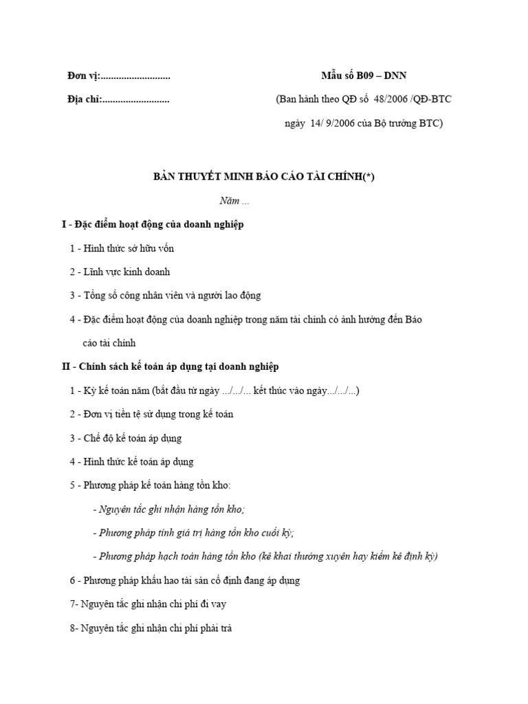 Mau Thuyet Minh BCTC QD 48 | PDF