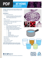 Purple Cabbage Acid-Base Indicator Experiment | PDF | Ph | Acid