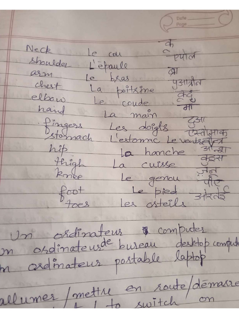 French body parts | PDF