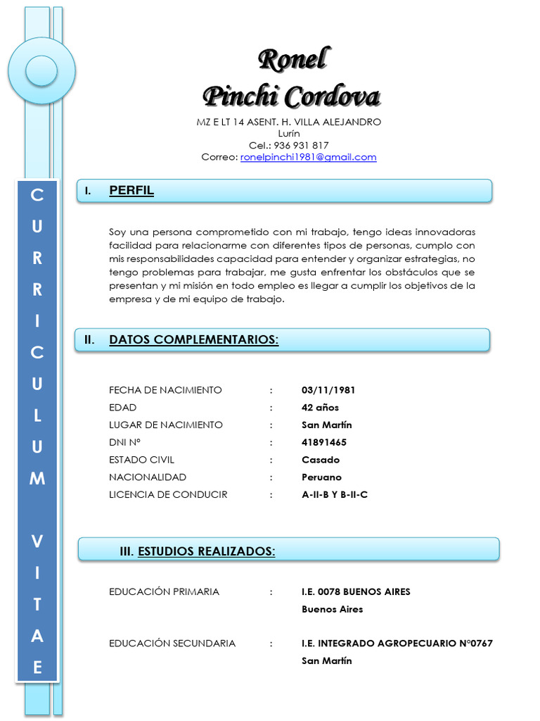 CV Ronel 2024 Actualizado | PDF