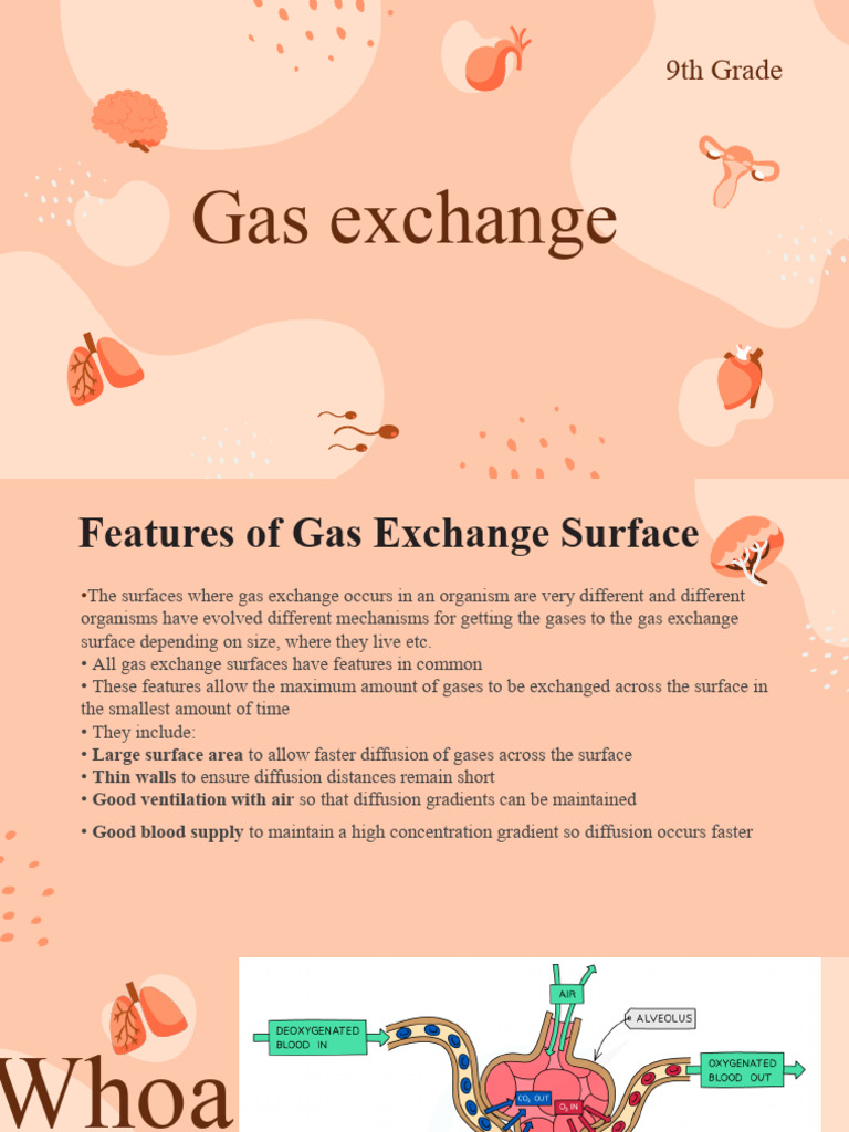 Gas Exchange | PDF | Breathing | Lung