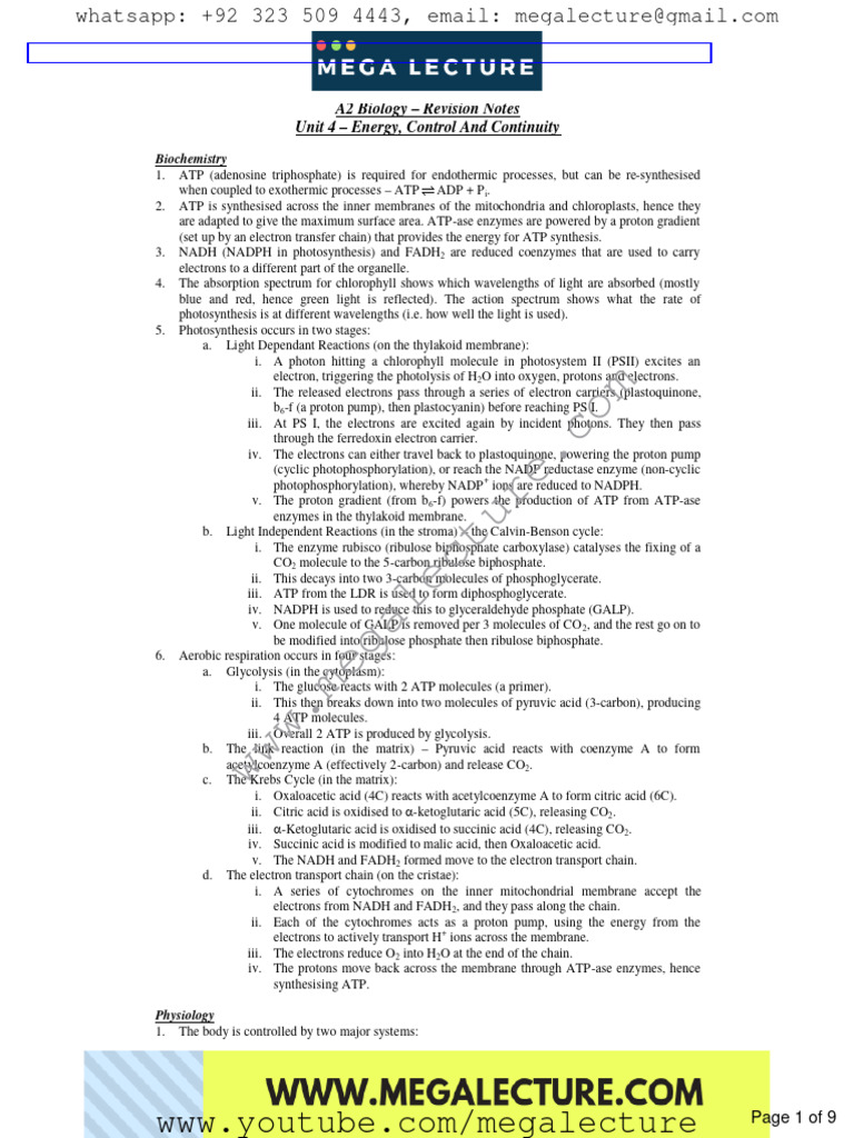 Unit 4 Energy Control and Continuity A2 | PDF | Meiosis | Chemical Synapse