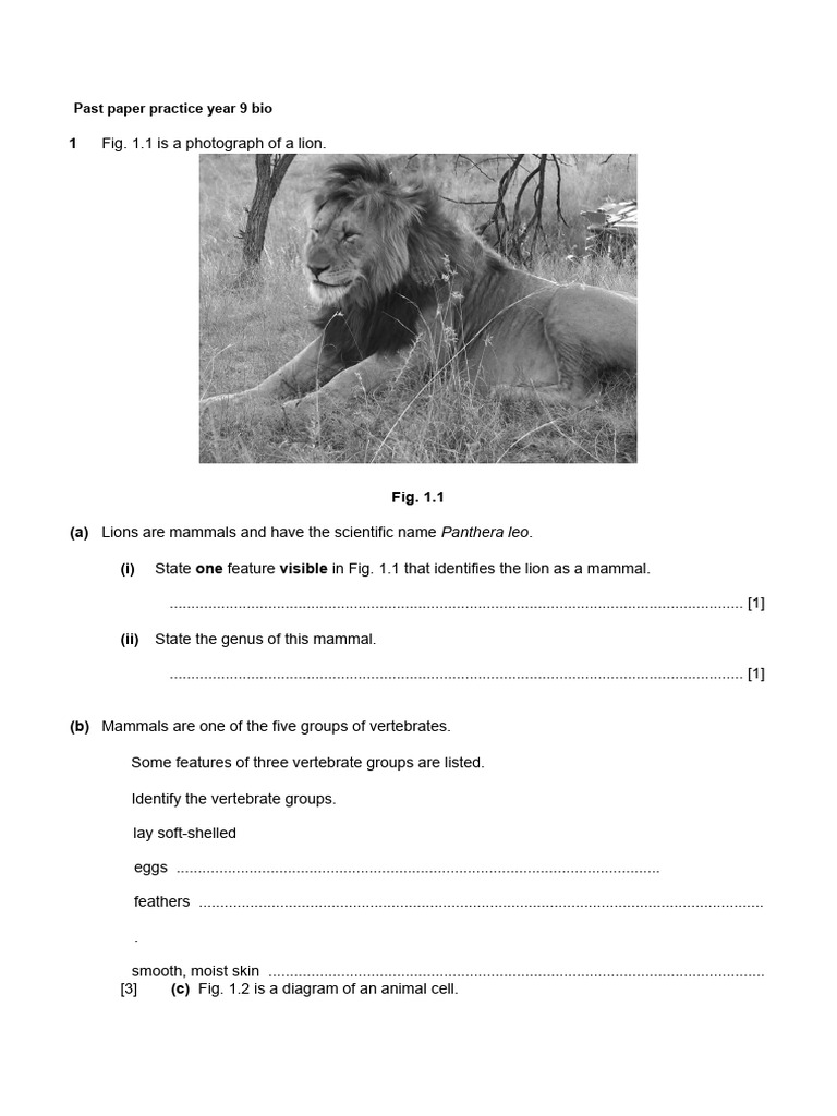 Practice Paper | Download Free PDF | Heart Rate | Cellular Respiration